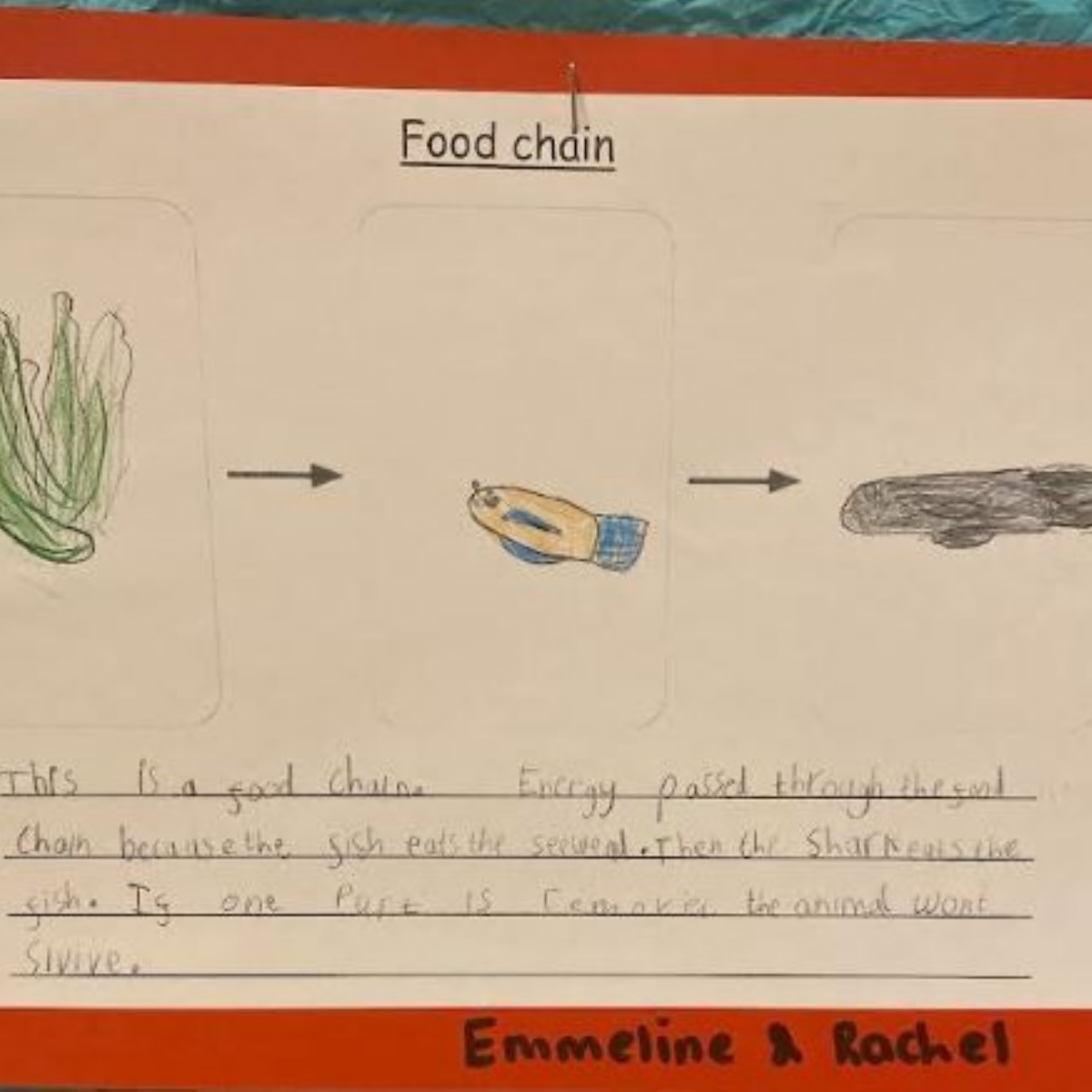Phoenix Community Primary School - Year 2 Science